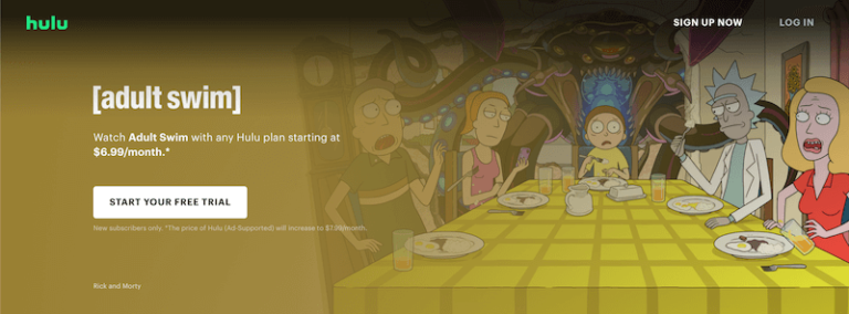 How to Watch Adult Swim Outside USA [Updated Apr 2026]